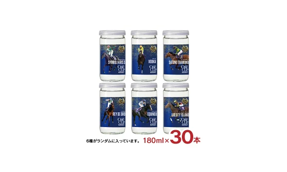 訳あり 清酒 上撰 ワンカップ G-One 豪脚編 180ml 30本│お手頃特価・激安通販